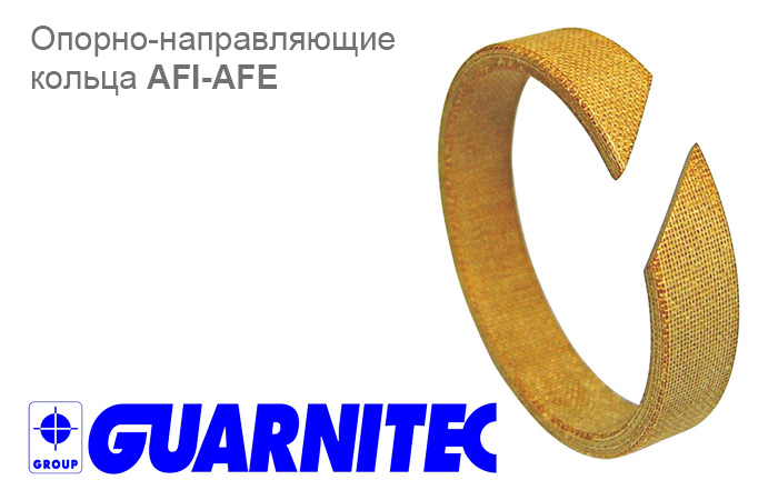 На склад поступили опорно-направляющие кольца AFI-AFE купить в Промснаб ...